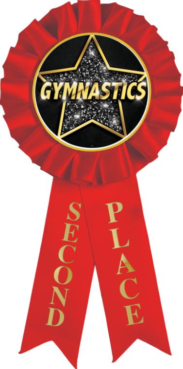 2nd Place Ribbon