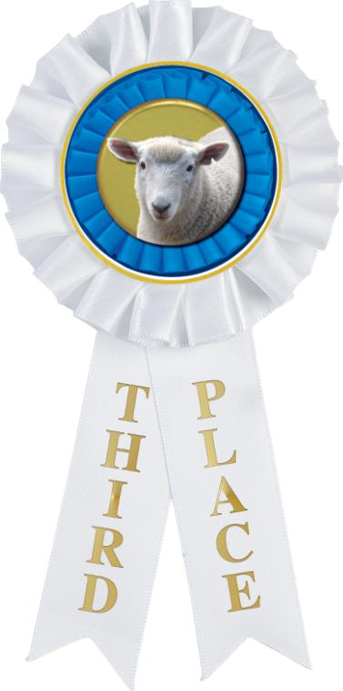 sheep ribbon