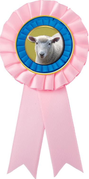 sheep ribbon