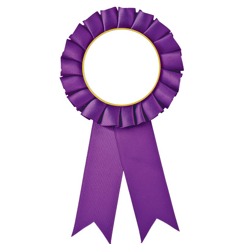 2nd Place Ribbon Color