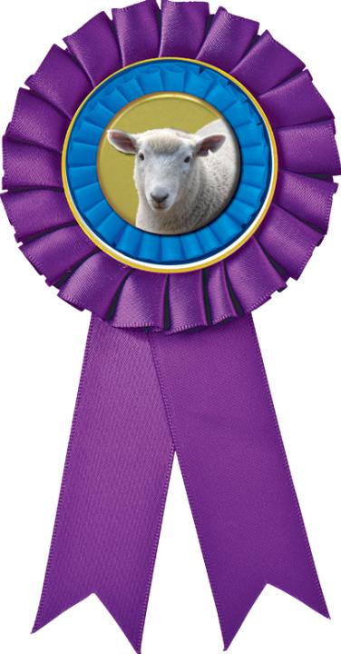 sheep ribbon