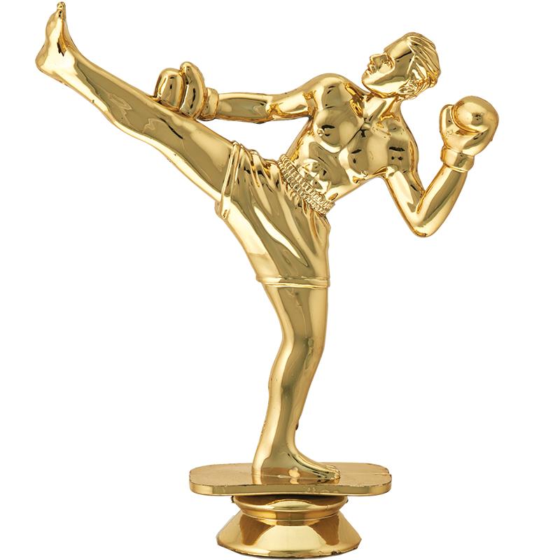 Kickboxing Trophies | Kickboxing Medals | Kickboxing Plaques and Awards