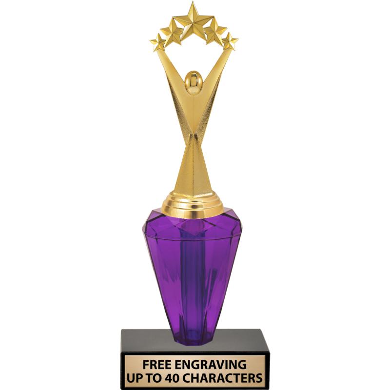 Computer Trophies – Crown Awards