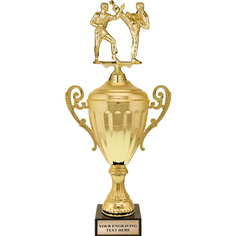 Karate Cup Trophies - Crown Awards