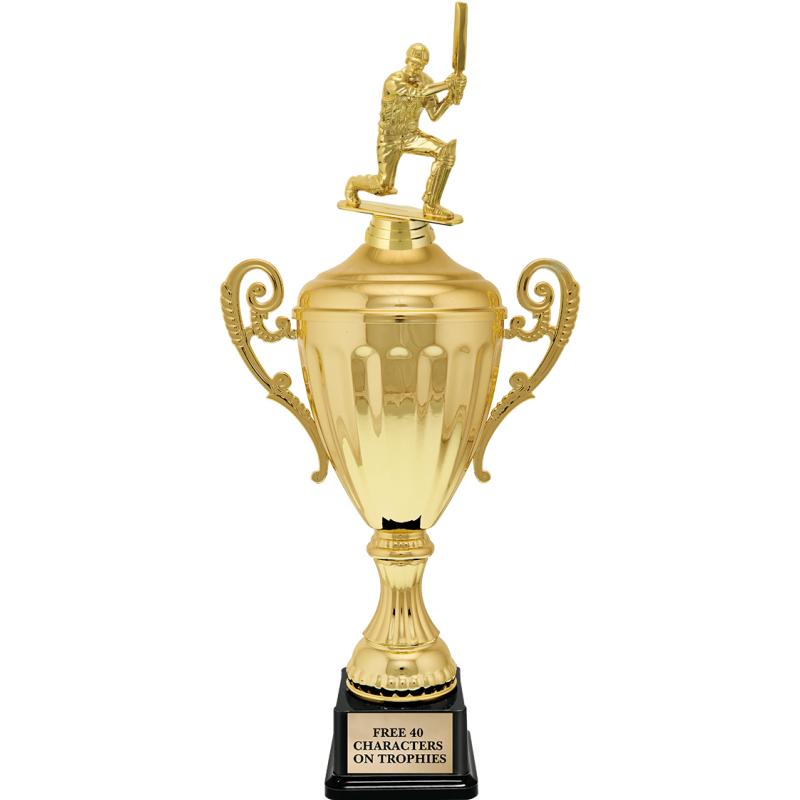 Cricket Cup Trophies - Crown Awards