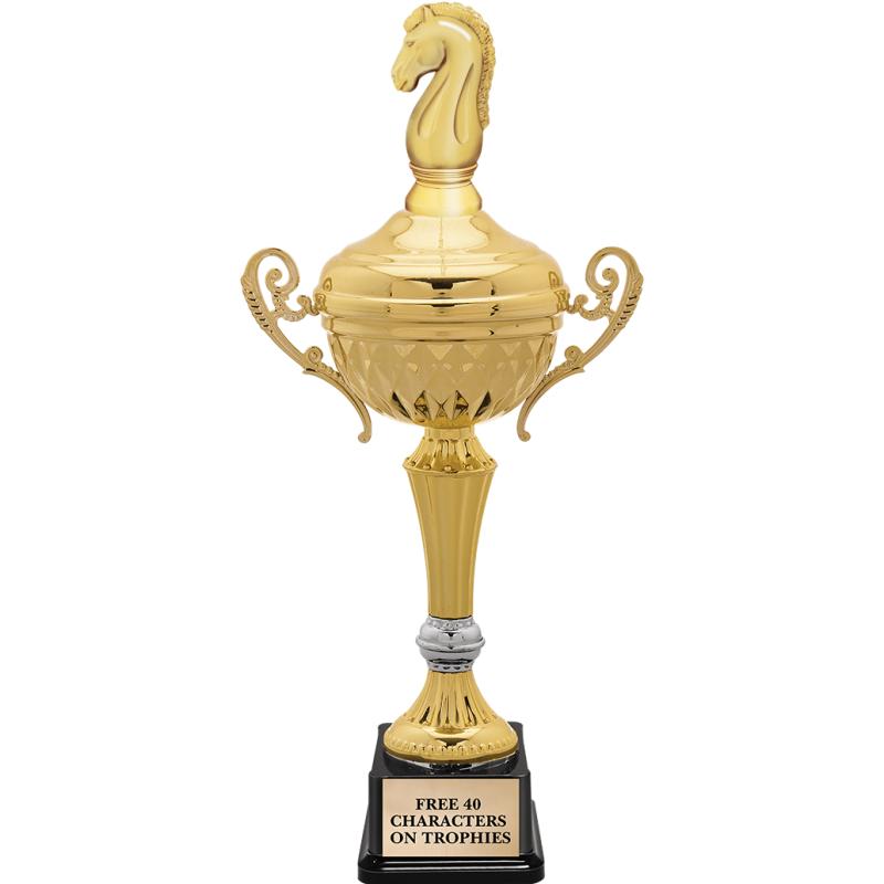 Chess Cup Trophies - Crown Awards