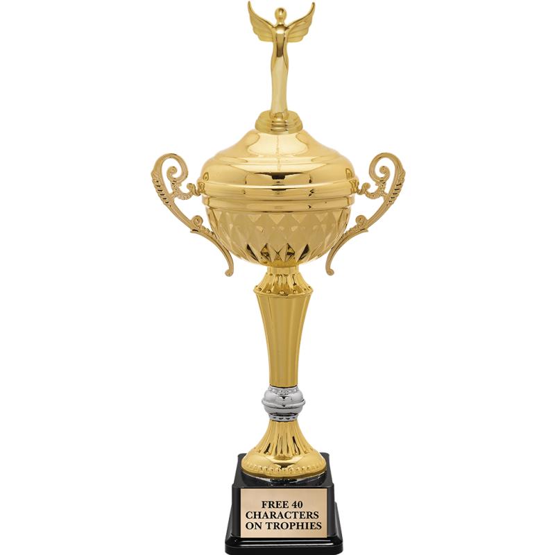 Achievement Awards Cup Trophies - Crown Awards