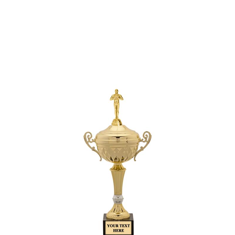 Torch Cup Trophies - Crown Awards