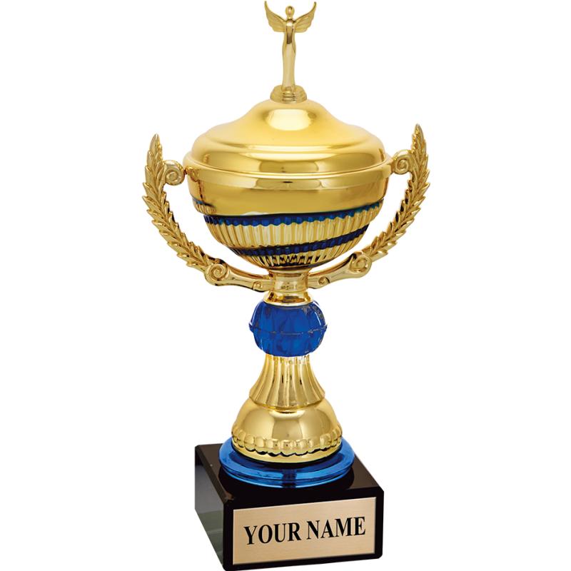 Swimming Cup Trophies - Crown Awards