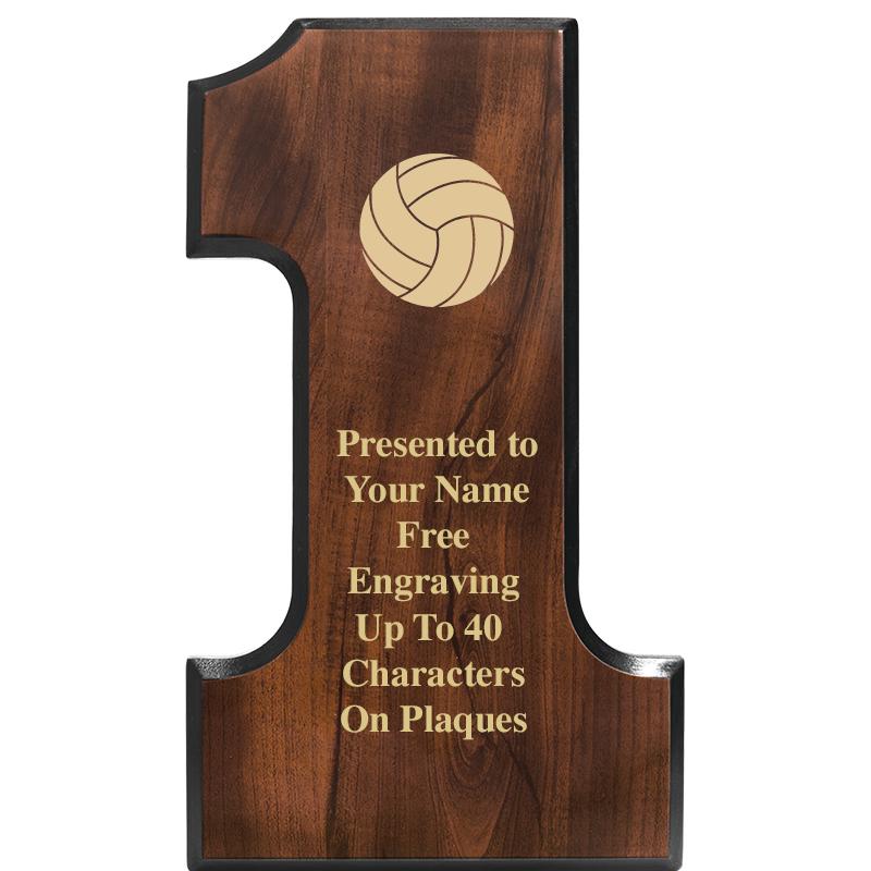Volleyball Plaques | Crown Awards