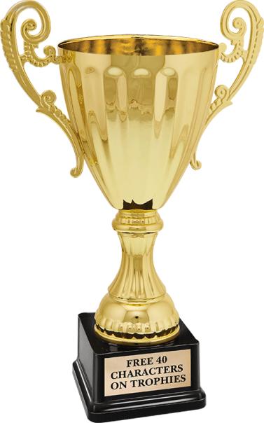 difference between cup and trophy