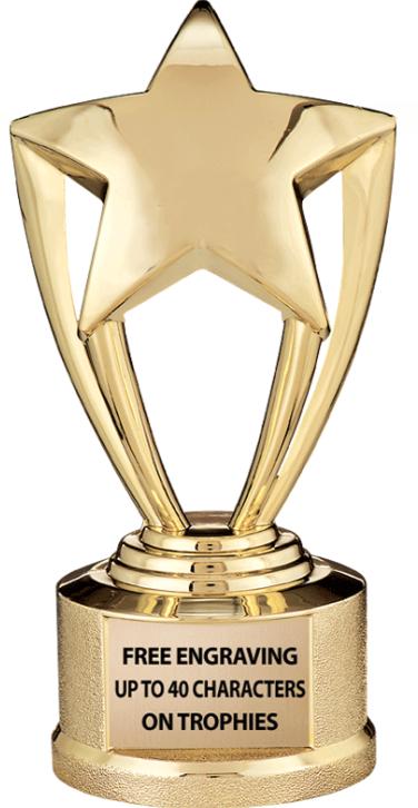 participation trophy